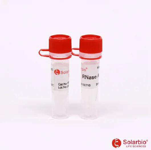 Solarbio High Purity Reagents Rnase A Solution(10mg/ml) Cas 9001-99-4 For Scientific Research ...
