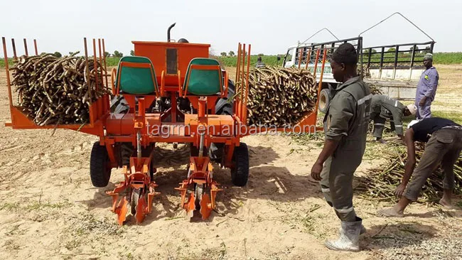 Tractor Mounted Two Rows Cassava Seeder Cassava Planting Machine For Seeds Planter Buy