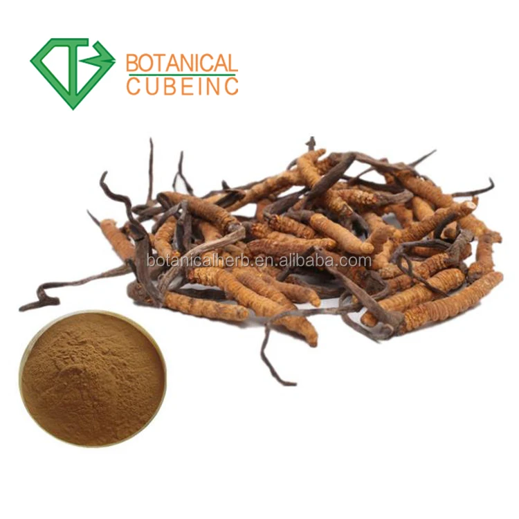 B.C.I Supply Health Supplement - Purple Gromwell Root Extract