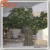 Make Cheap Artificial Trees Life Size Artificial Fake Indoor Big Trees ...