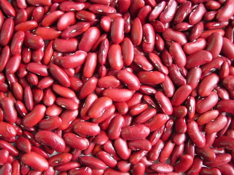 Red Speckled Sugar Beans - Buy Red Speckled Sugar Beans,Red Kidney ...