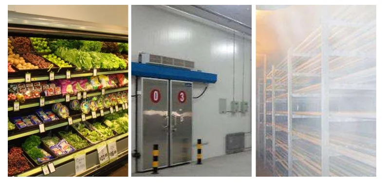 ECB-5080 Electrical Control Box for Efficient Cold Room Management
