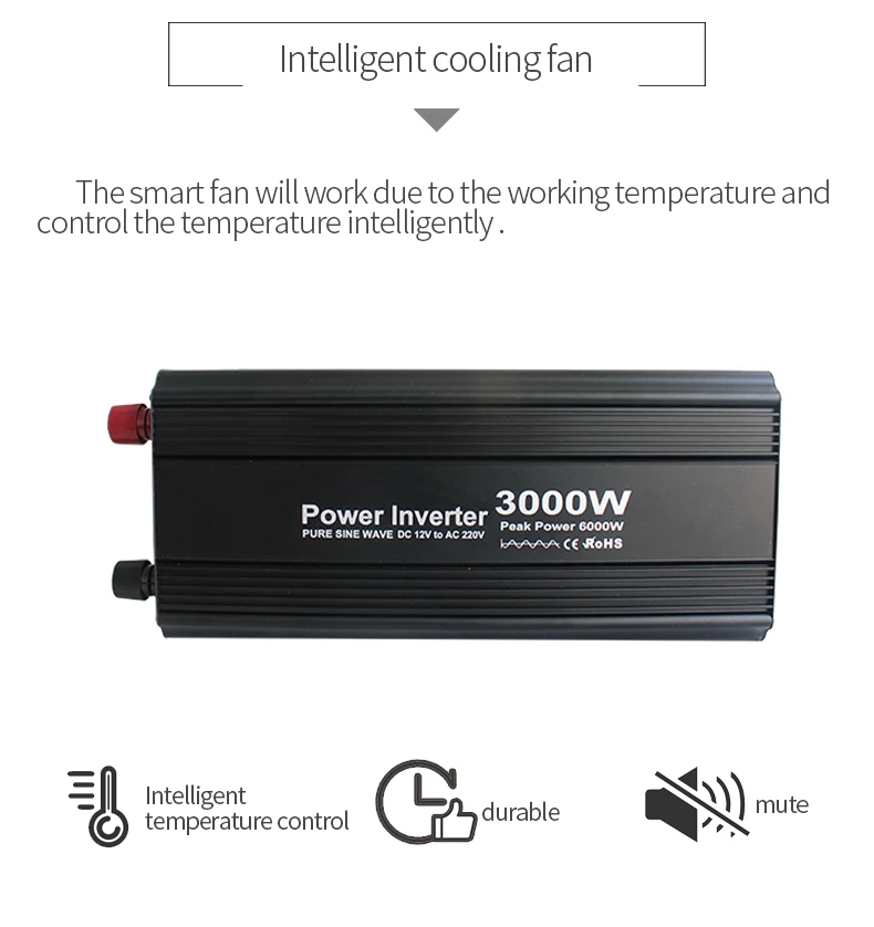 3000 Watts Power Inverter with Pure Sine Wave & Protection