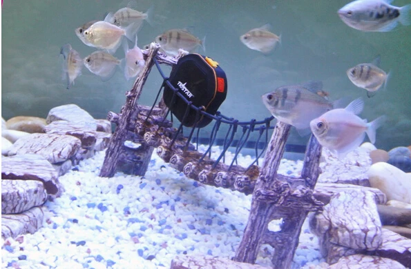 100% Original Gps Positioning Tracker Tkstar With Free App - Buy Gps ...