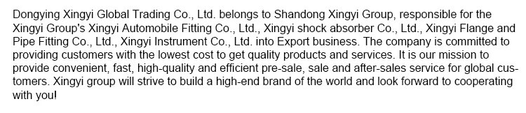 10343249 Auto Parts Brake Pad for MG ZS HS SAIC MOTOR