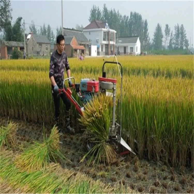 Hand Push Diesel Engine Rice Reaper Binder Machine - Buy Rice Reaper ...