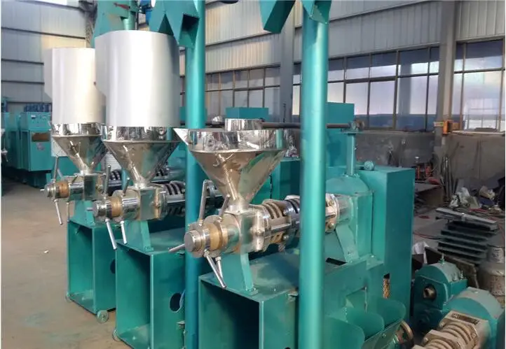 Best Quality Avocado Oil Extractor - Efficient & Automatic