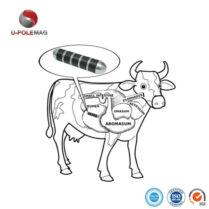 U-POLEMAG Ceramic Cow Magnet - Durable Ferrite Solution