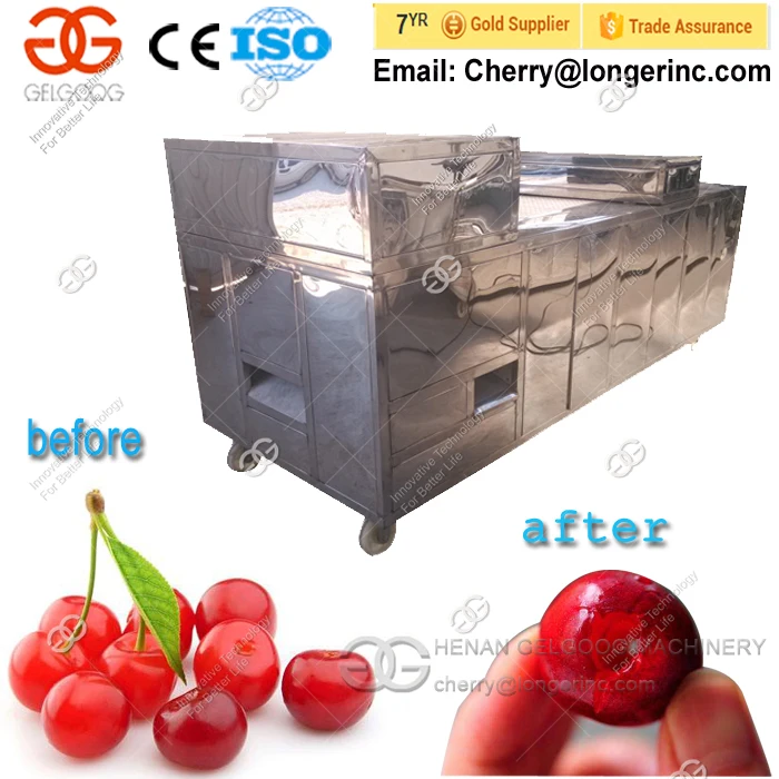 Cherry Pitting Machine | Cherry Seed Removing Machine | Cherry Pit ...