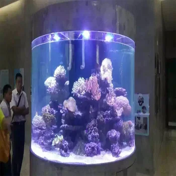 Round Aquarium Cylindrical Fish Tank Large Round Acrylic Aquarium For ...