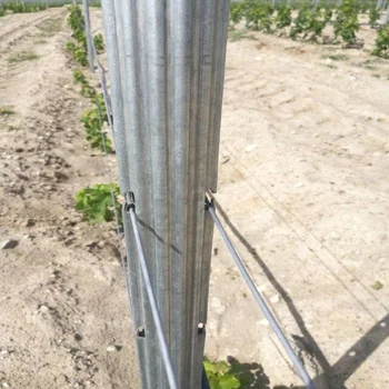 Vineyard Metal Post Grape Post Used In Farm Or Garden - Buy Vineyard ...