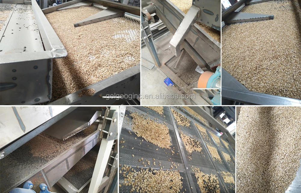 200kg/h Automatic Pine Nuts Hulling Melon Sunflower Seed Peeling ...