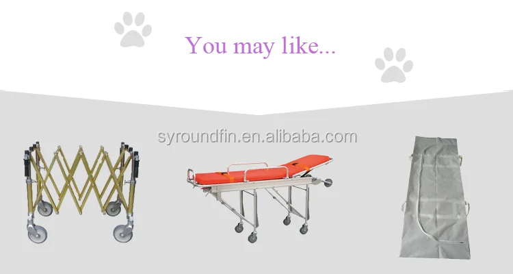 Roundfin Pvc Waterproof Mortuary Use Coroner Body Bags - Buy Pvc Body ...