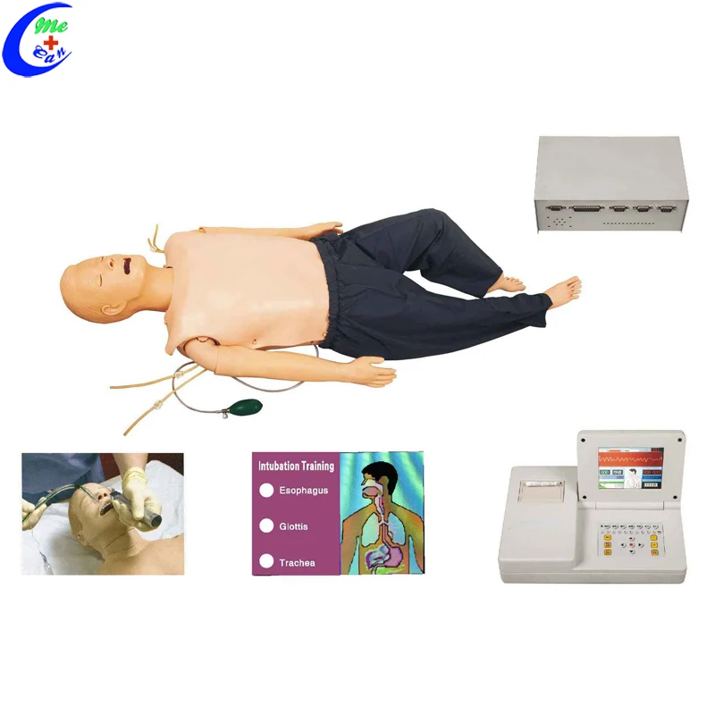 Medical Human Anatomy Skeleton Model for Nursing Training