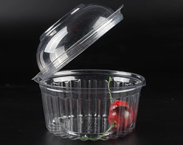 Top Quality Fruit Salad Container Disposable Plastic Vegetables ...