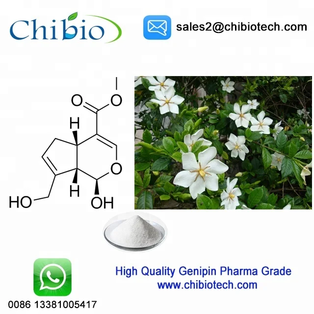 Factory Supply High Quality Pure Genipin 98% Powder Pharma Grade - Buy ...