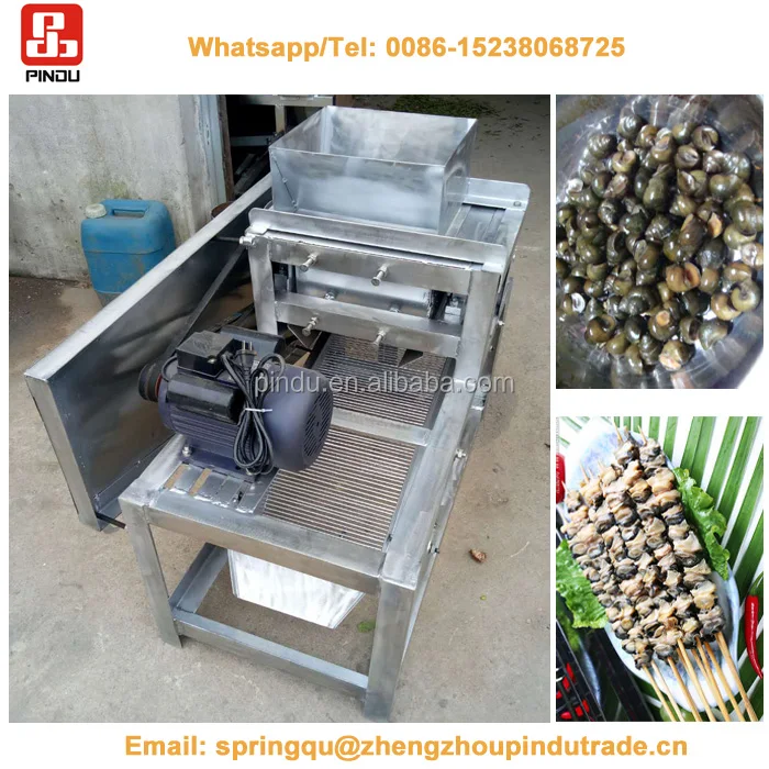 Professional Paludina River Snail Meat Extract Shell Separating ...