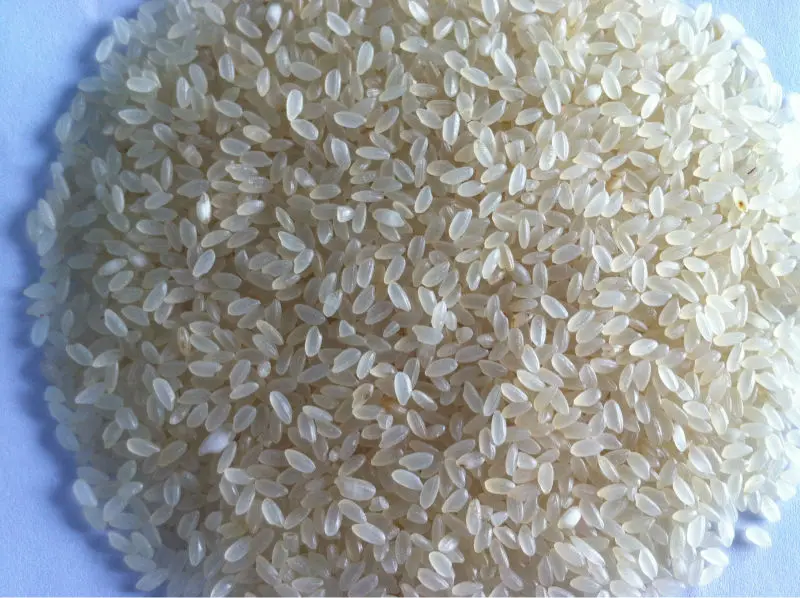 Samba (rice) - Alchetron, The Free Social Encyclopedia