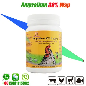 Anticoccidial Drug Amprolium Water Soluble Powder For Chicken Farming ...