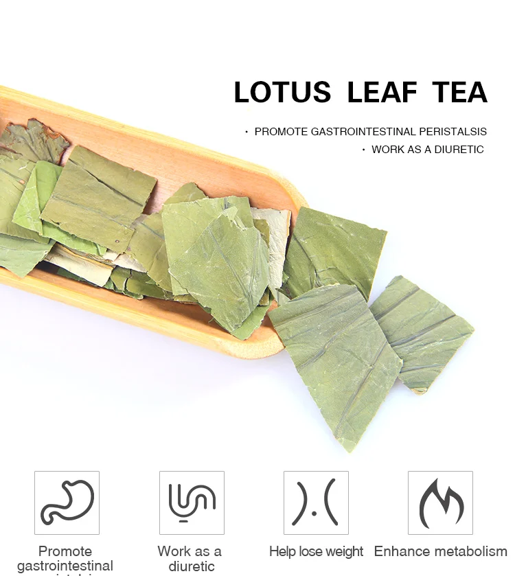 Lotus Leaf Tea - Popular Slimming Tea for Instant Detox