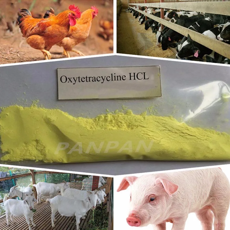 Best Price Oxytetracycline Hcl Powder In Chemicals Antibiotic For ...