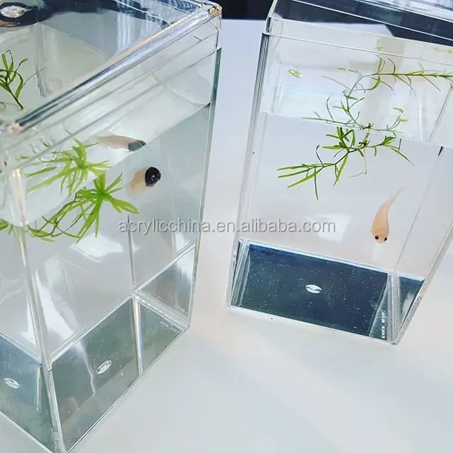 Factory Custom Acrylic Fish Tanks Fish Display Case - Buy Fish Display ...