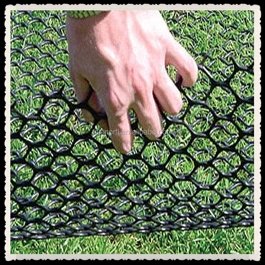Garden Netting/hdpe Plastic Mesh - Durable & UV Stabilized