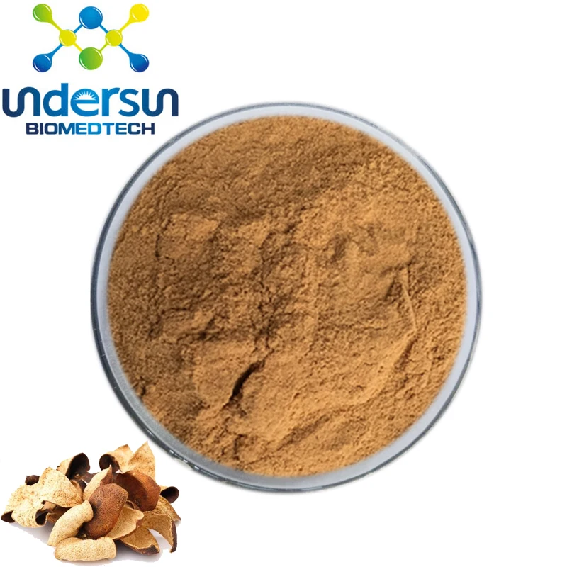 100% Tangerine Peel Extract Chenpi Powder - Buy Tangerine Peel Extract ...