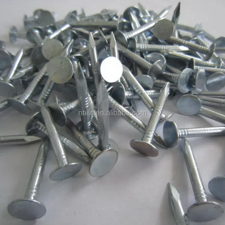 Flat Head Roofing Nail For Asphalt Shingles - Buy Flat Head Roofing ...