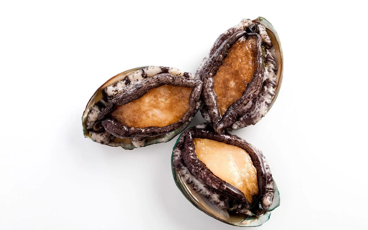 Automatic Fish Grader Machine/salmon Tilapia Fish Weighing Grading ...