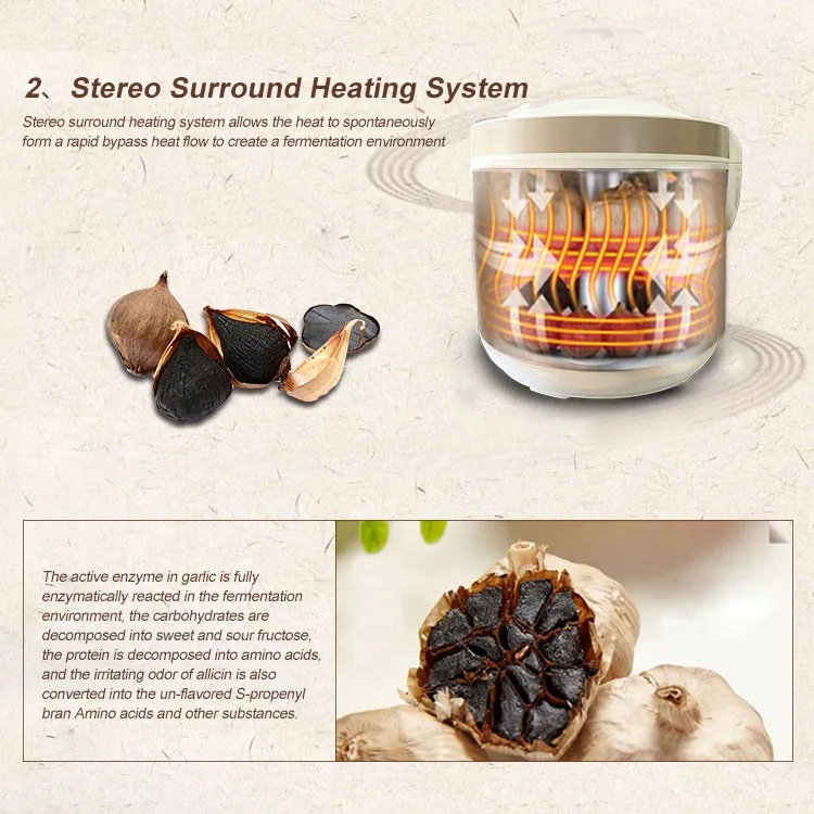 Professional Black Garlic Fermenter - Buy Black Garlic Machine,Black ...