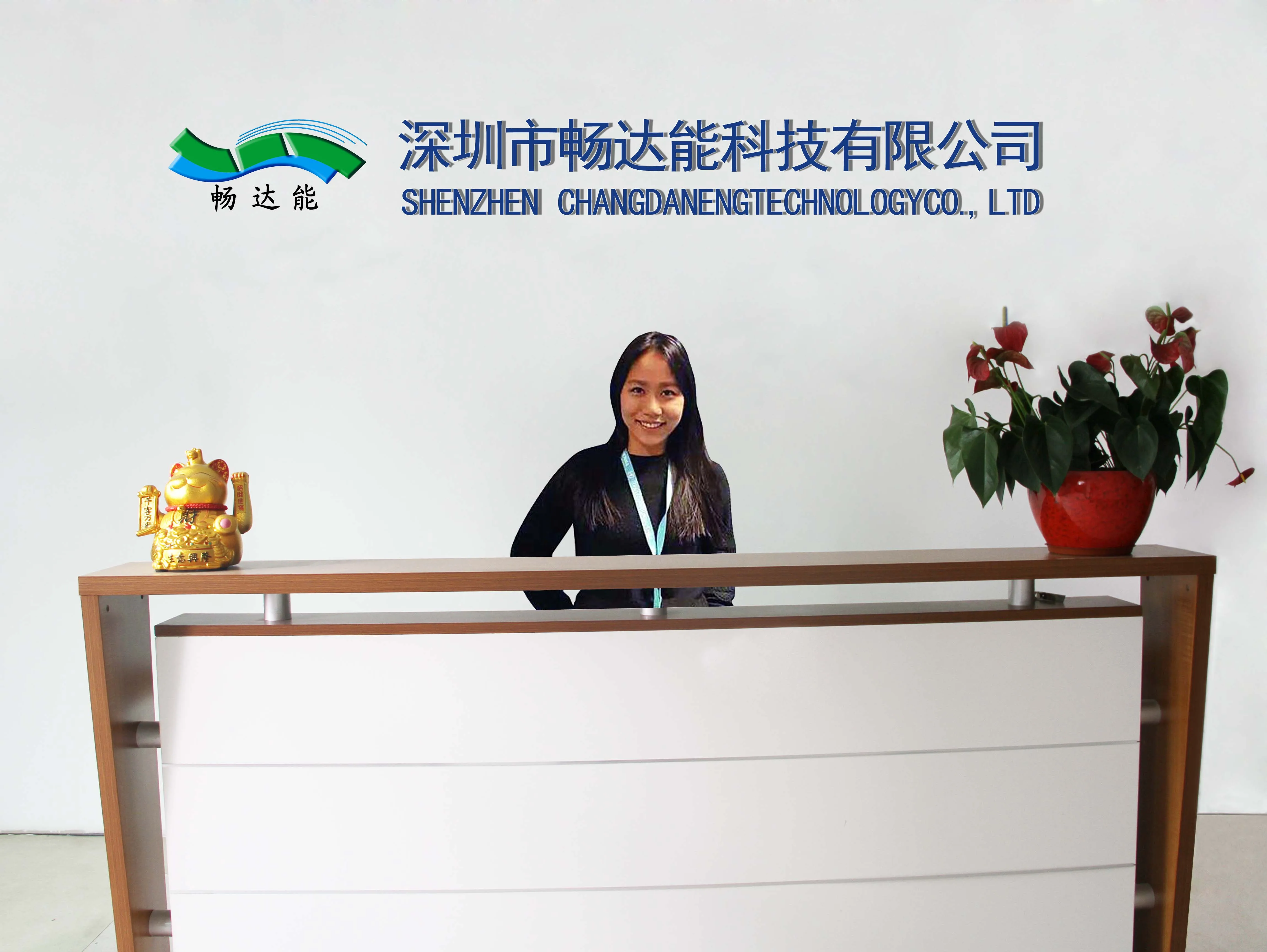 Zebra Line Pavement Marker Led Warning Light Cat Eye Road Stud ...