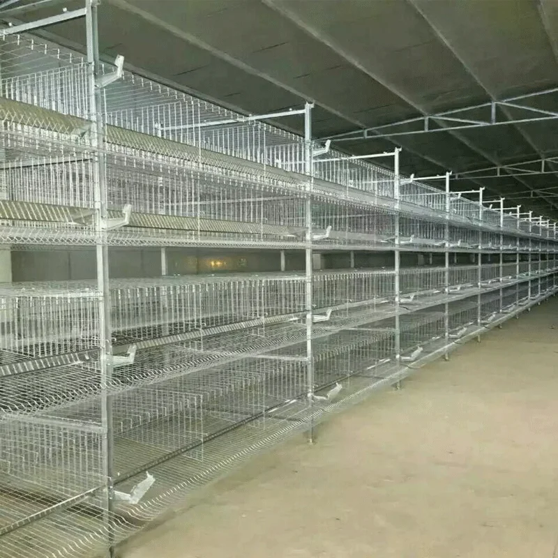 Poultry Farm Broiler Layer Baby Chicken Cages For Sale - Buy Chicken ...
