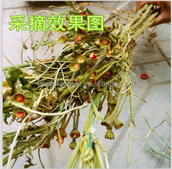 Automatic Farm Use Red Chili Picking Machine Pepper Picker Harvester ...