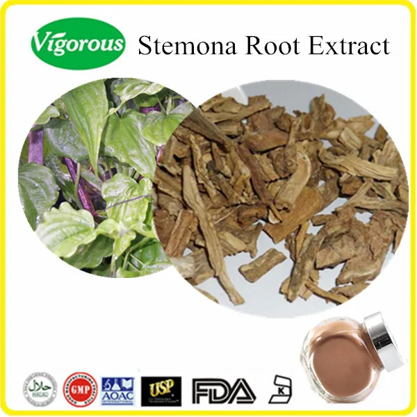 Stemona Root Extract/stemona Japonica Extract Powder/stemona Extract ...