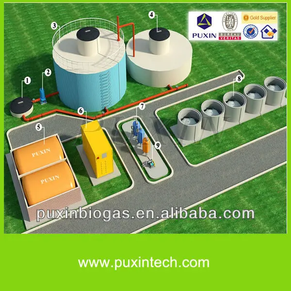 PUXIN 10m3 Household Methane Gas Digester for Cooking Fuel