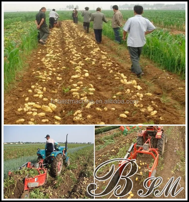 Nigeria Low Price Cassava Harvester / Tractor Driven Tuber Crops ...