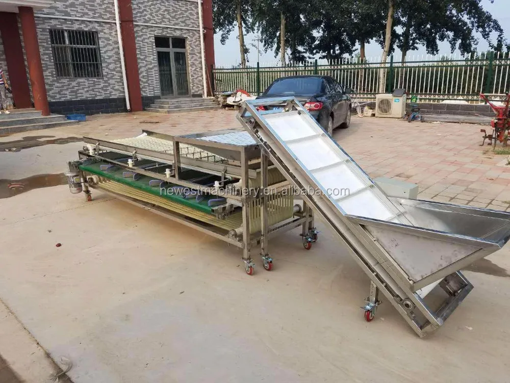 Easy Operation Dry Date Processing Machine/palm Dates Sorting Machinery ...