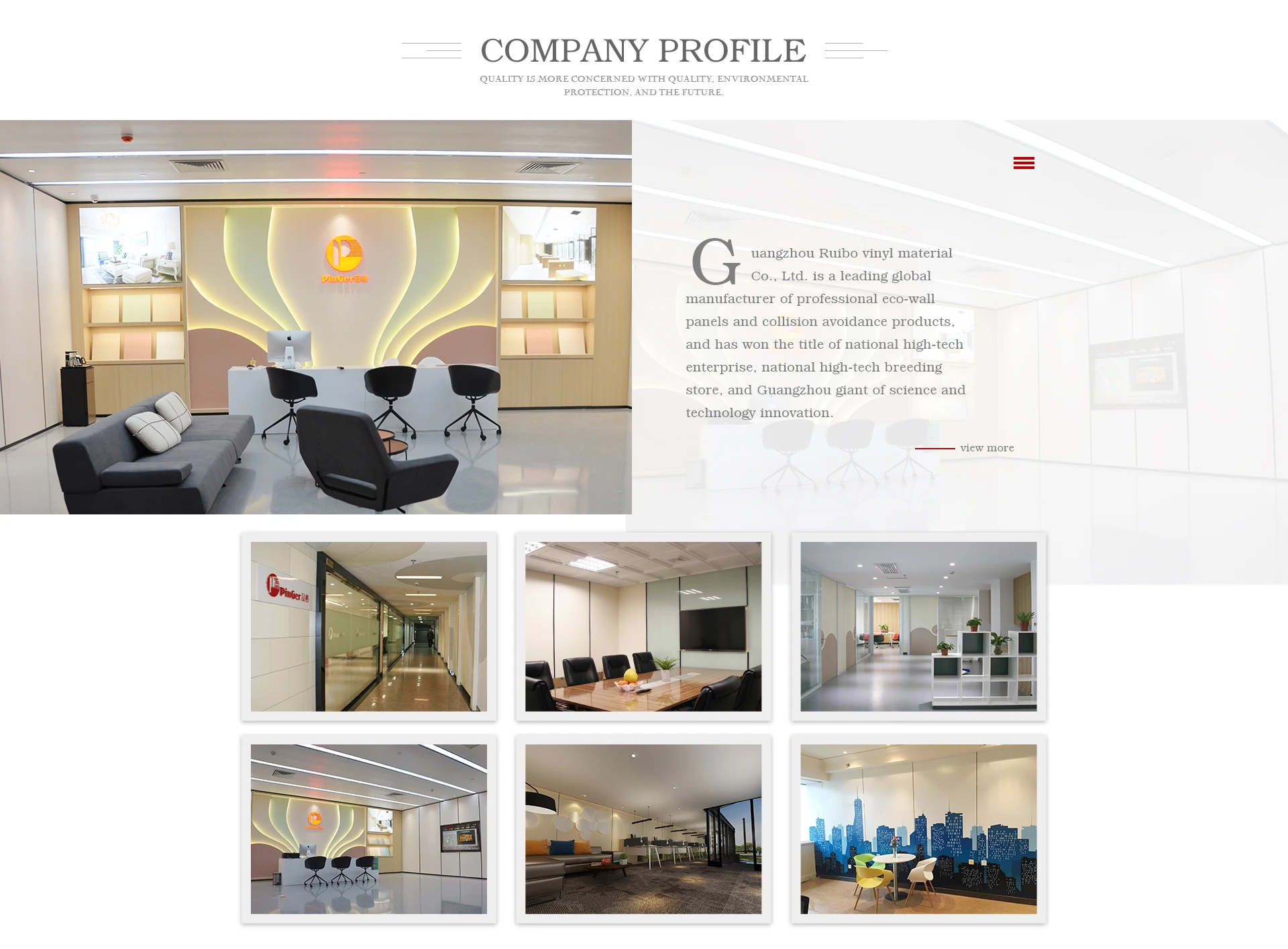 Company Overview - Guangzhou Pinger Vinyl Material Co., Ltd.