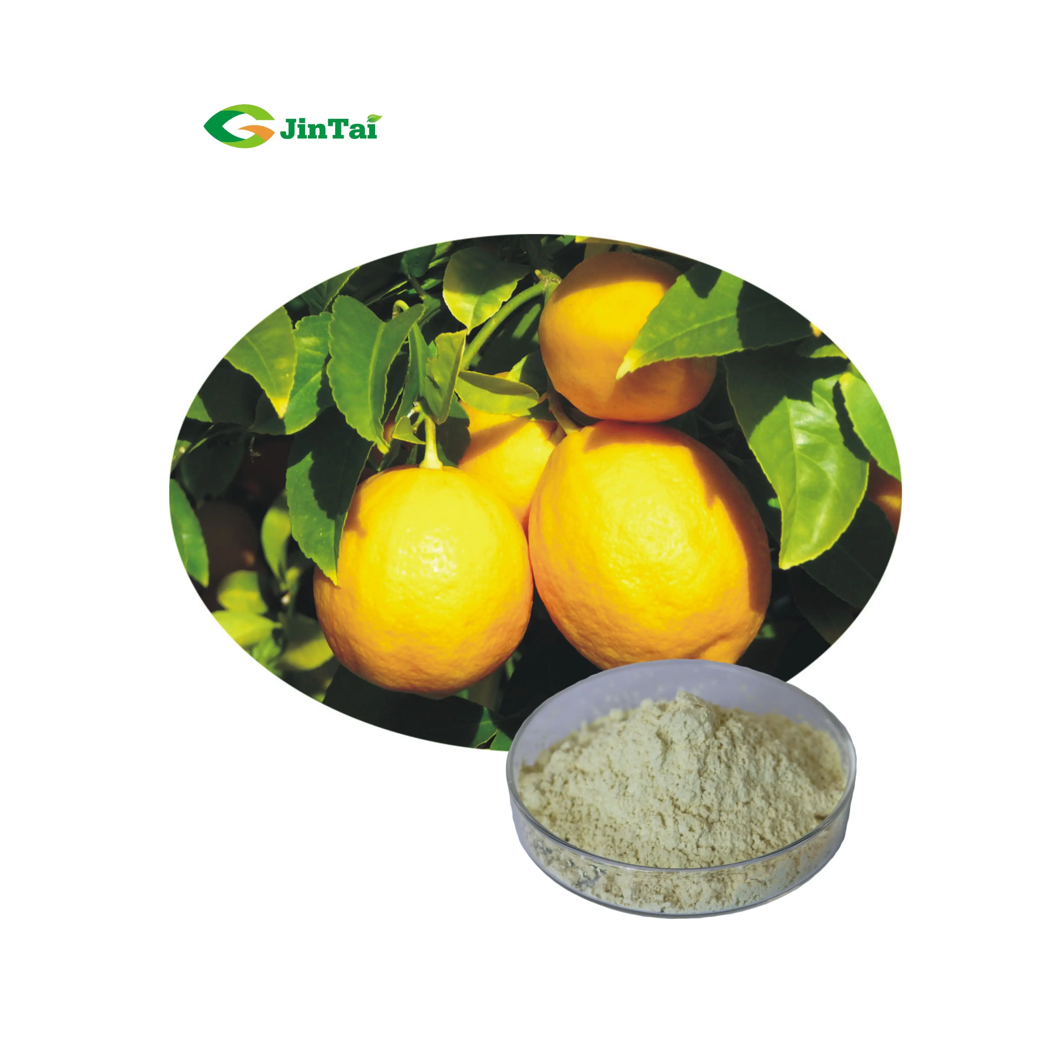 Dried Lemon Leaves Extract Powder Diosmetin 98% Lemon Extract Powder ...