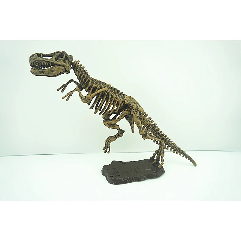 High Emulation Dinosaur Skeleton 3d Model Tyrannosaurus Dinosaur ...