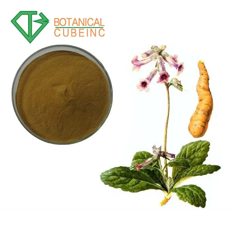 High Quality Prepared Rehmannia Root Extract - 10:1 Solvent Extraction