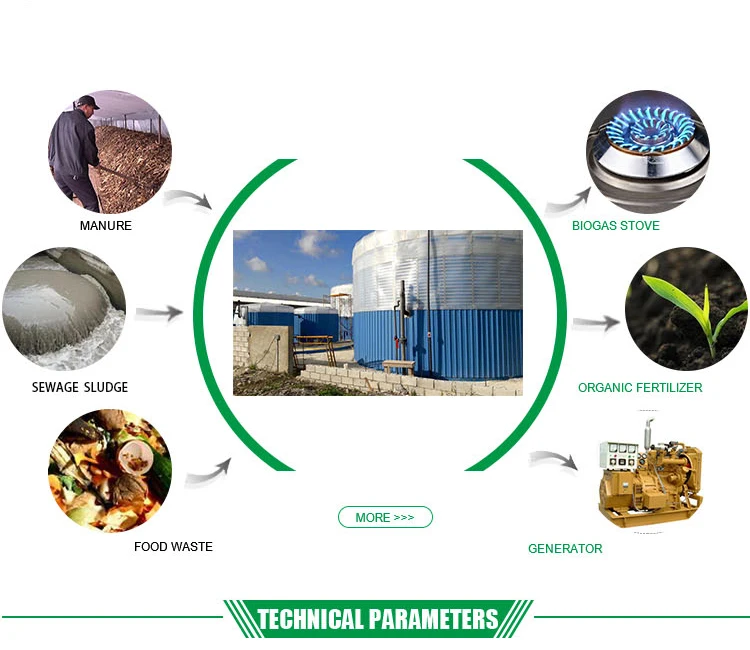 Durable Biodigestor Biogas System Production - Buy Green Waste ...