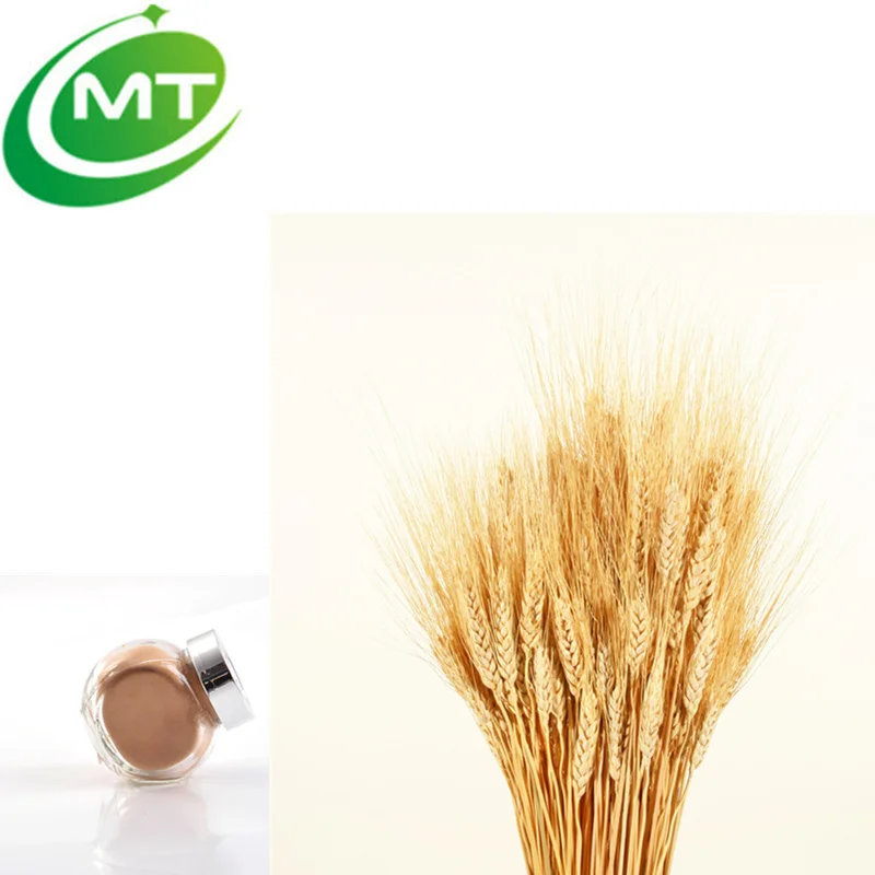 Free Sample Malt Extract Powder /wheat Germ Extract Powder - Buy Wheat ...