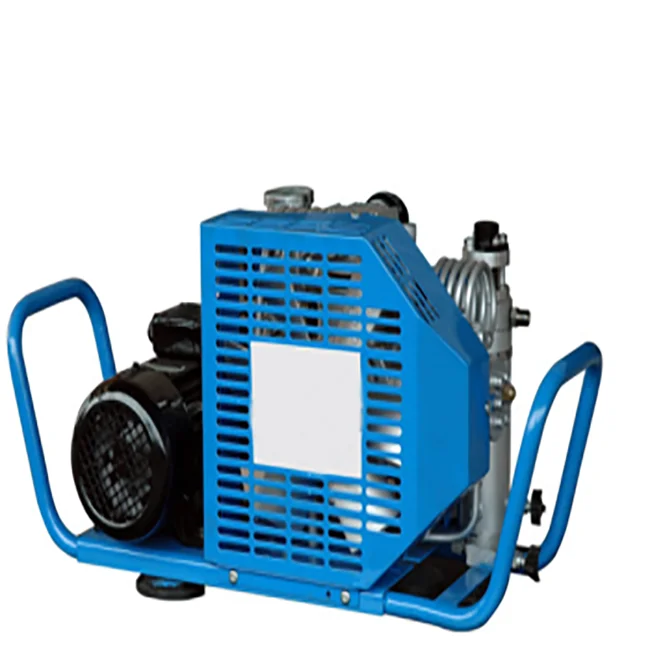 300bar 5.5HP SCBA Cylinder Refilling Air Compressor for Sale