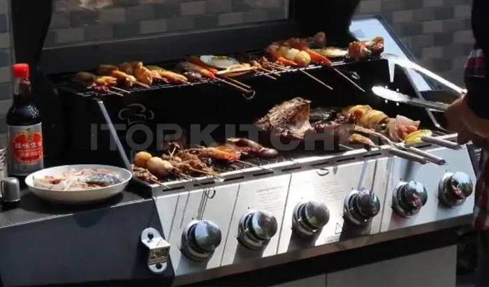 Buddy Charcoal Oven - Portable BBQ Grill for Outdoor Fun