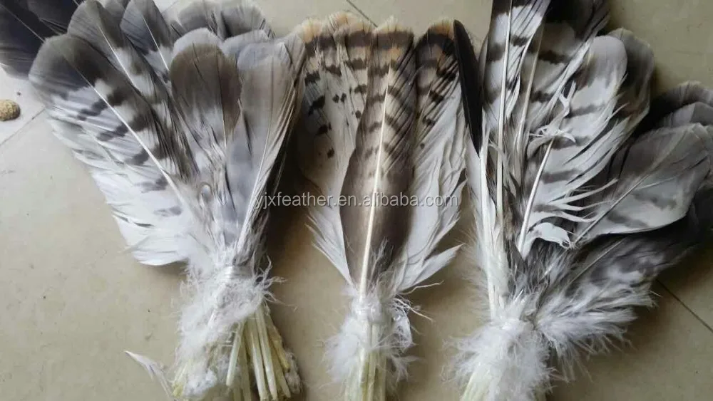 Cheap Real Eagle Tail Big Feathers For Sale - Buy Eagle Feathers,Eagle ...
