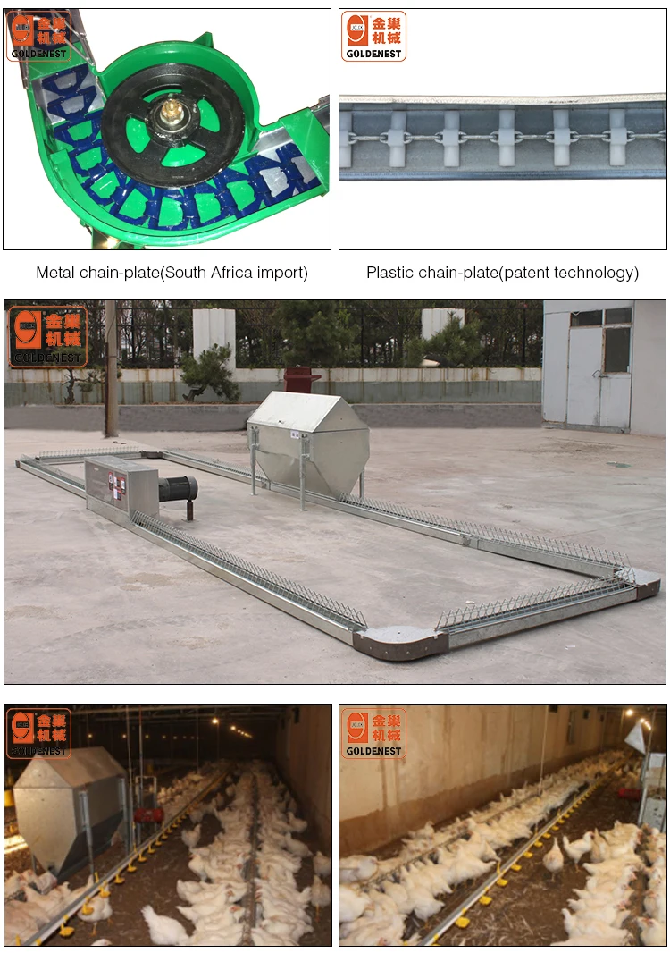 China Breeder Open Trough Feeding System For Chicken House ...
