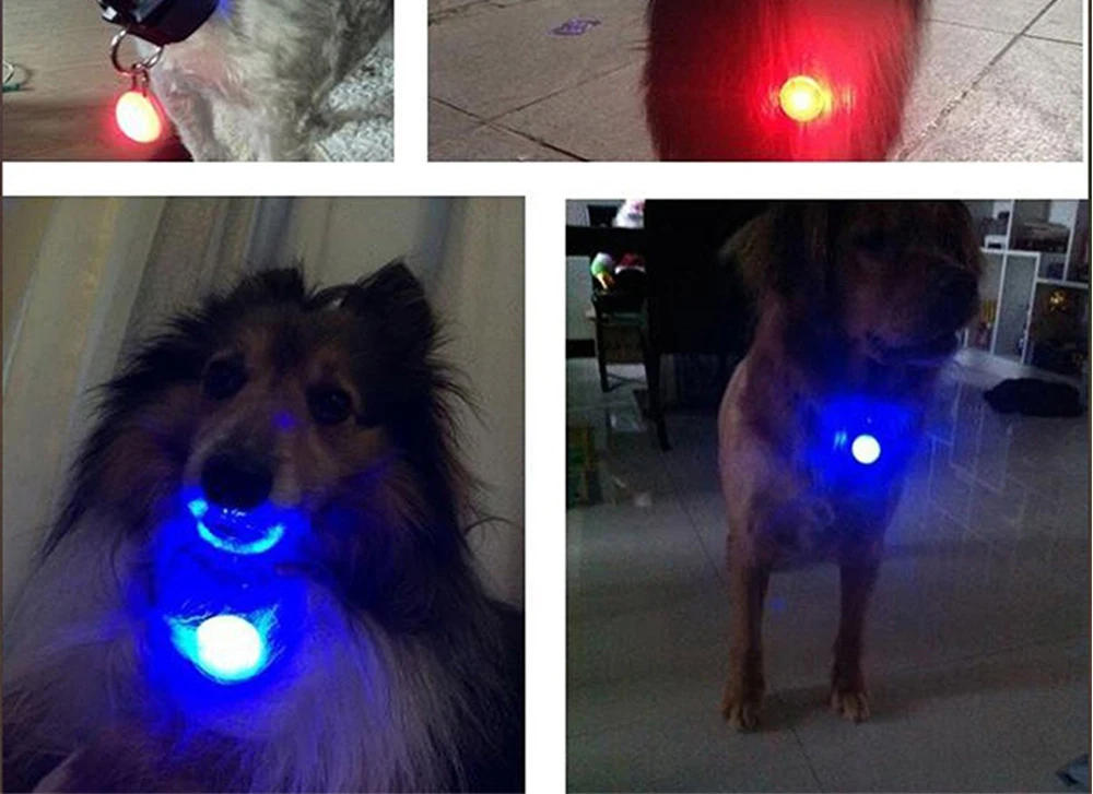 Custom Logo 7 Colors Waterproof Flashing Light Up Pet Pendant Led Dog ...