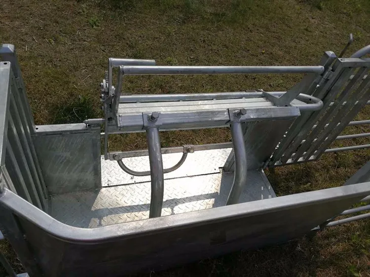 Steel Goat Handling Equipment - Sheep Catcher & Turnover Crate